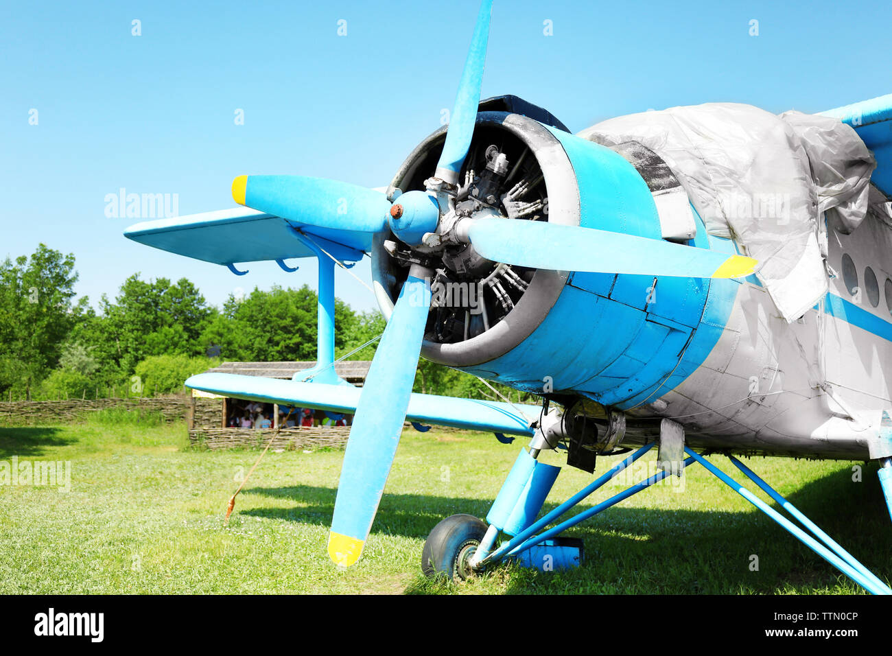 Old airplane on green grass Stock Photo - Alamy