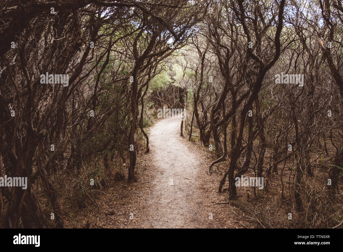 Wilsons promontory national park hi-res stock photography and images ...