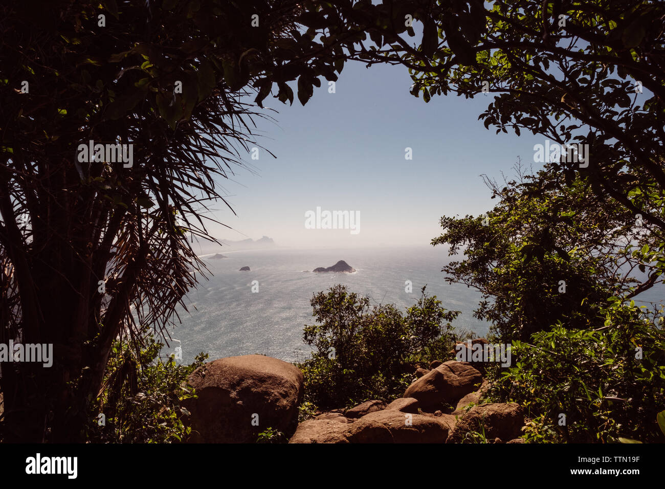 Island view from the jungle in Rio de Janeiro Stock Photo - Alamy