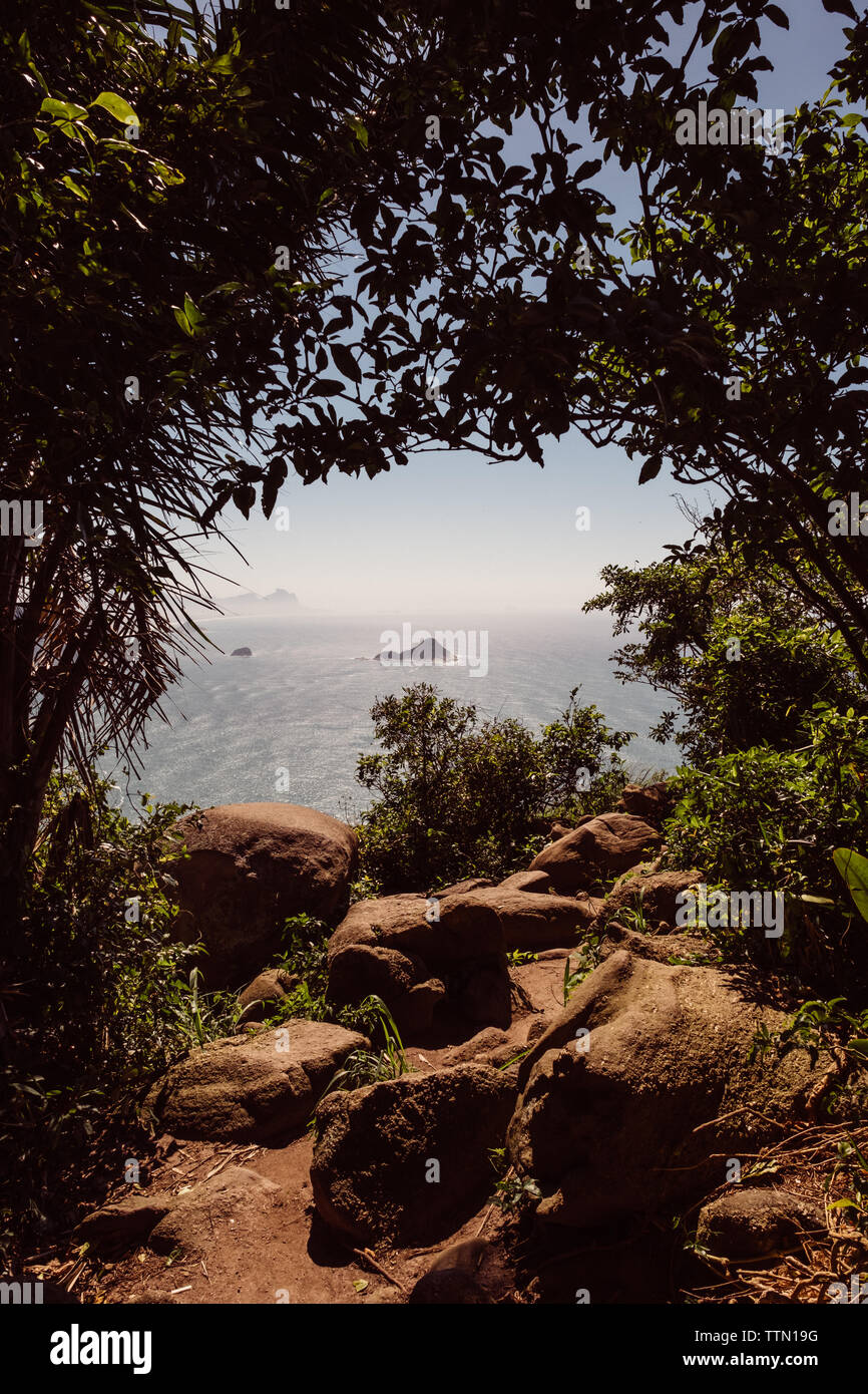 Island view from the jungle in Rio de Janeiro Stock Photo - Alamy