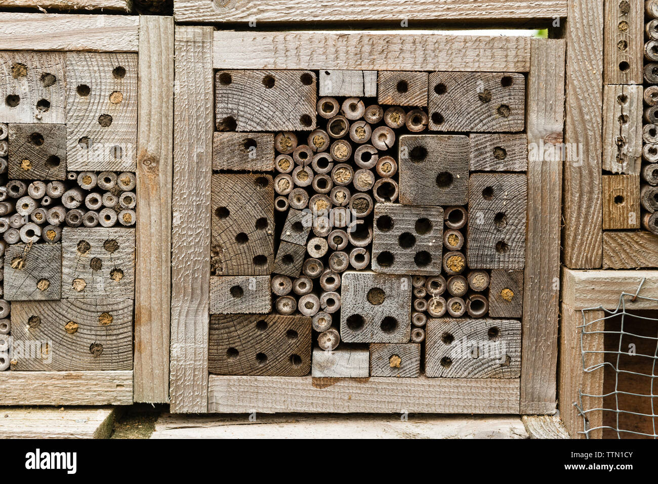 Home made nest boxes for solitary bees and other insects - the holes ...