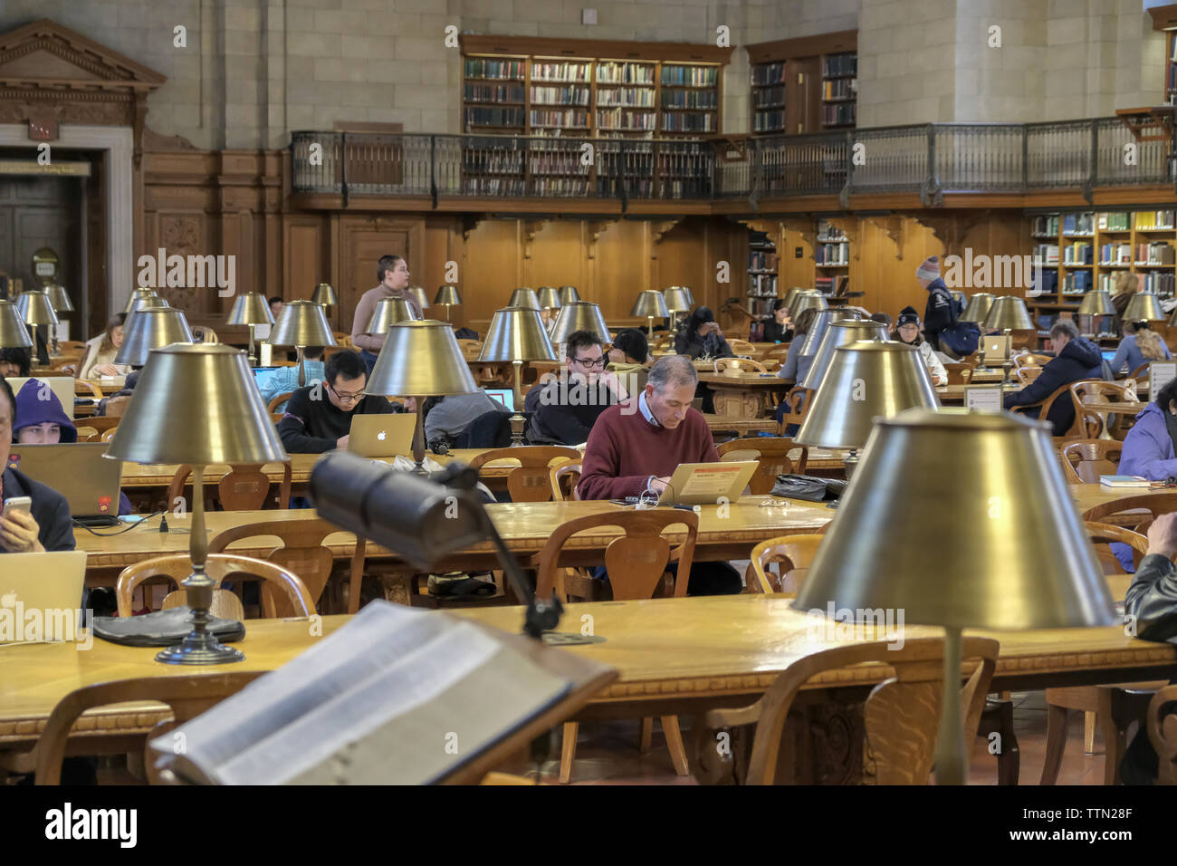 Rose main reading library hi-res stock photography and images - Alamy