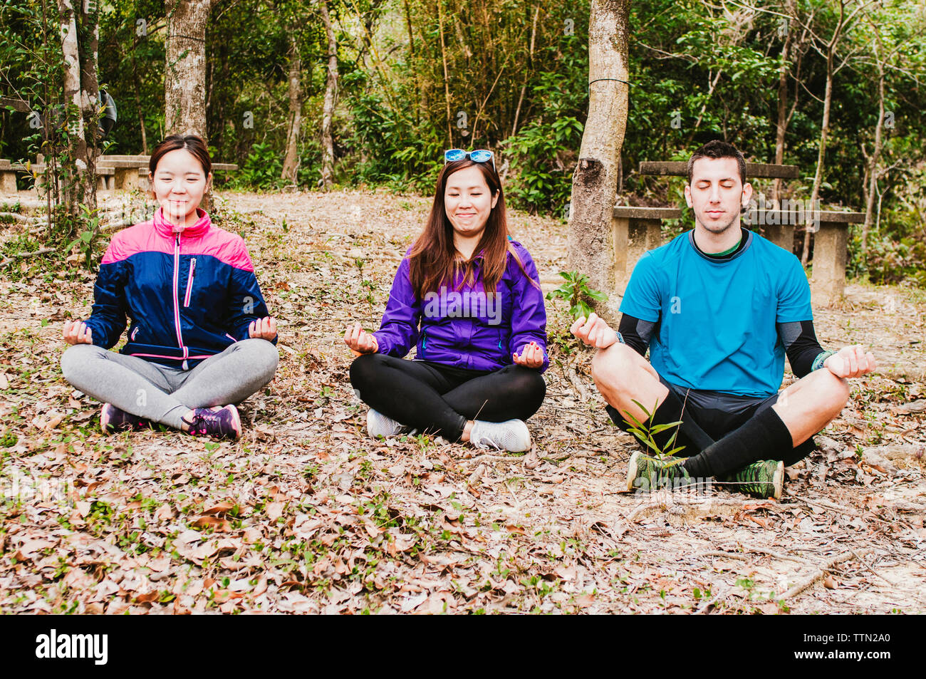 Meditating old man in forest hi-res stock photography and images - Alamy