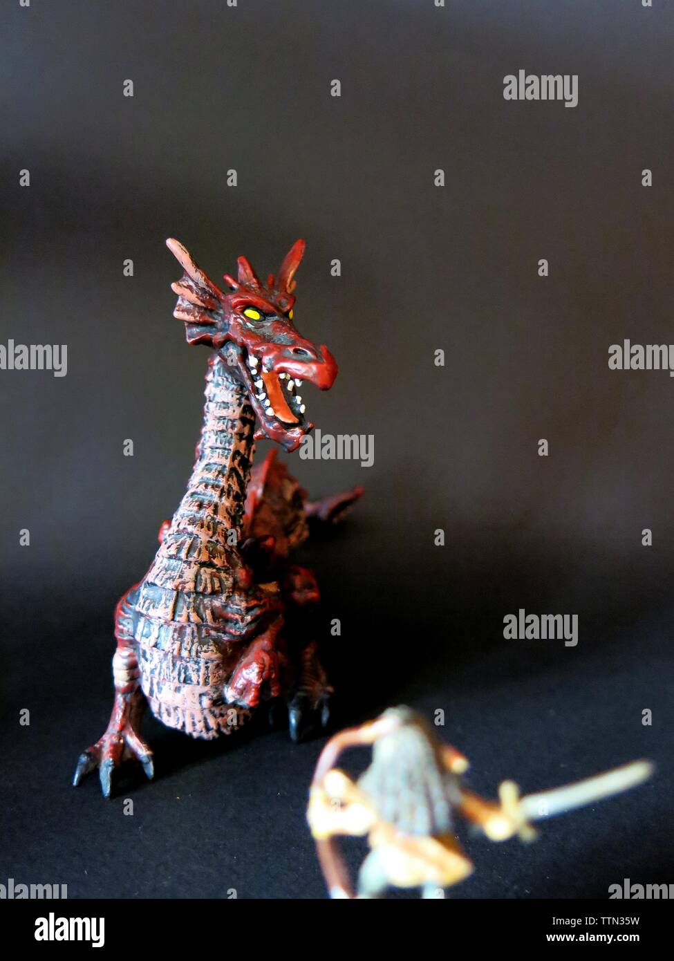 Human female Druid fighting Dragon, Dungeons & Dragons roleplaying game ...