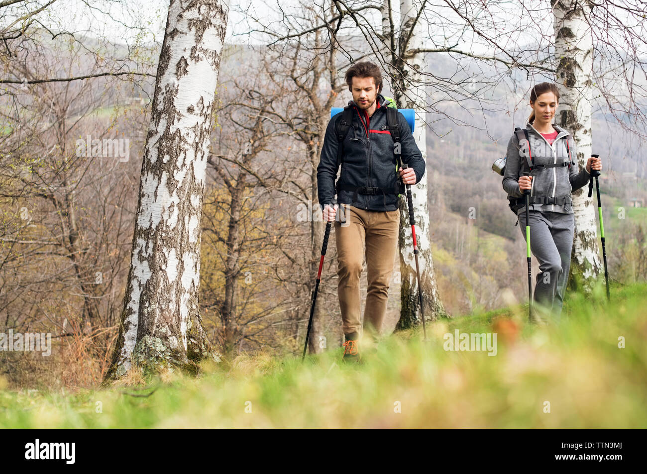 Hikers walking in forest Stock Photo - Alamy