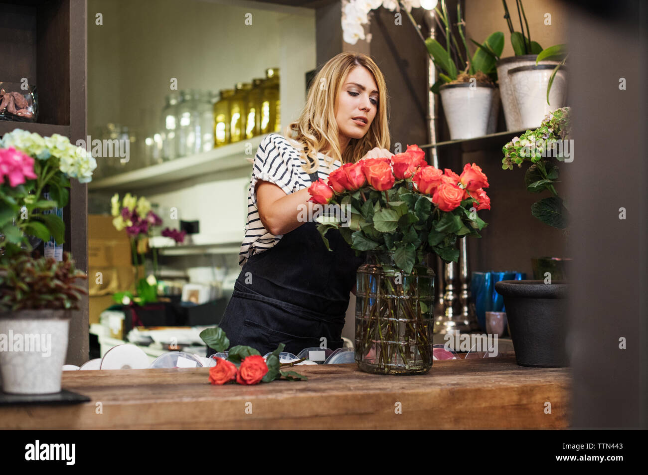 Female 30 years in red apron hi-res stock photography and images - Alamy