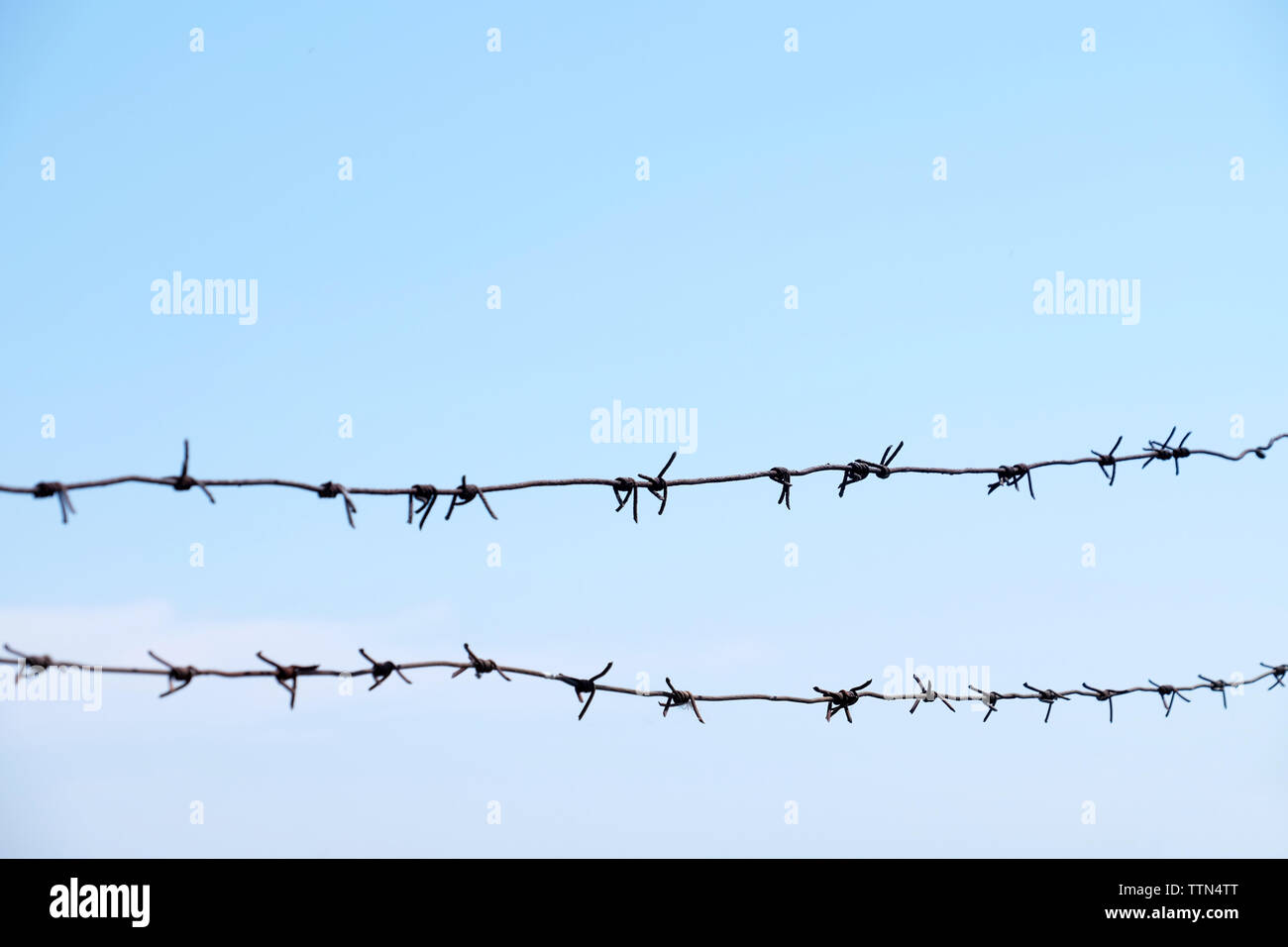 Barbed wire on sky background Stock Photo - Alamy
