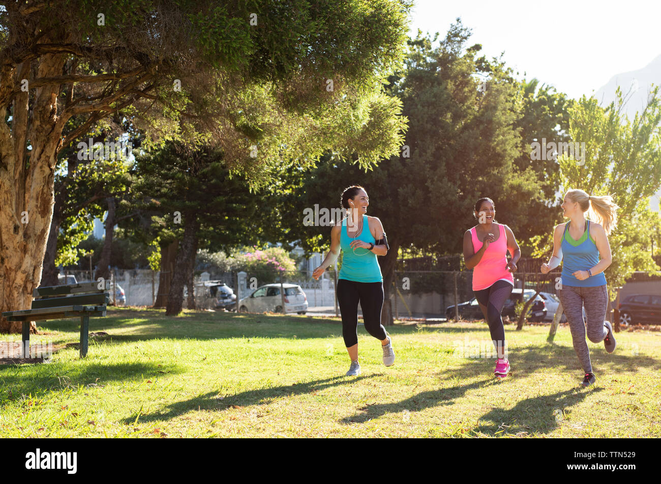 Group people jogging in park hi-res stock photography and images - Alamy