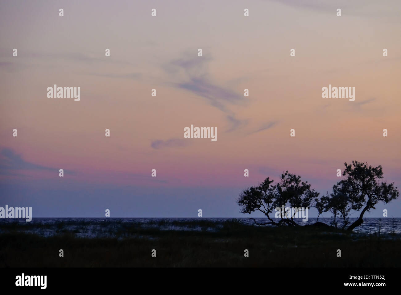 Trees on beautiful dusk sky landscape Stock Photo - Alamy