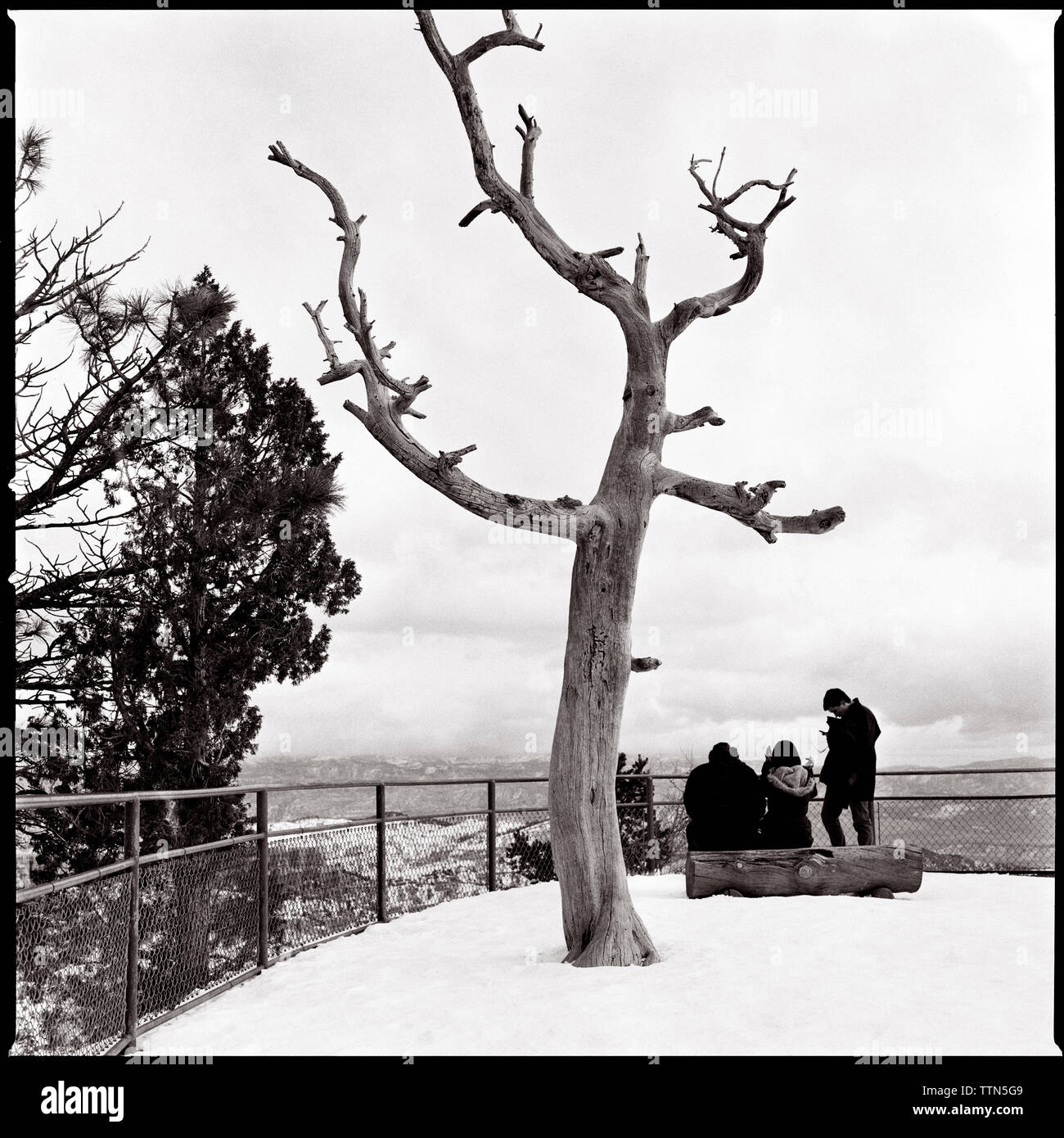 Three figures hi-res stock photography and images - Alamy