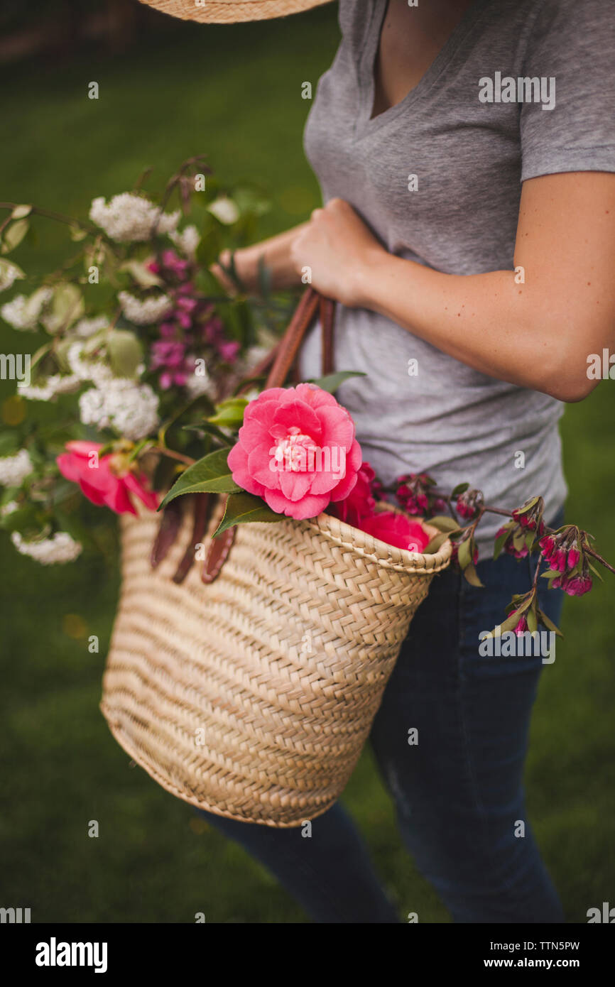 Carrying basket hi-res stock photography and images - Alamy