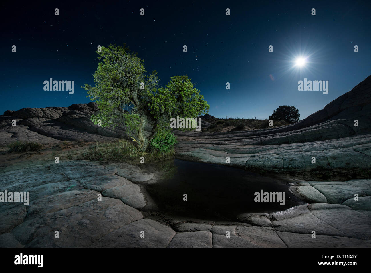 Arizona desert at night sky hi-res stock photography and images - Alamy