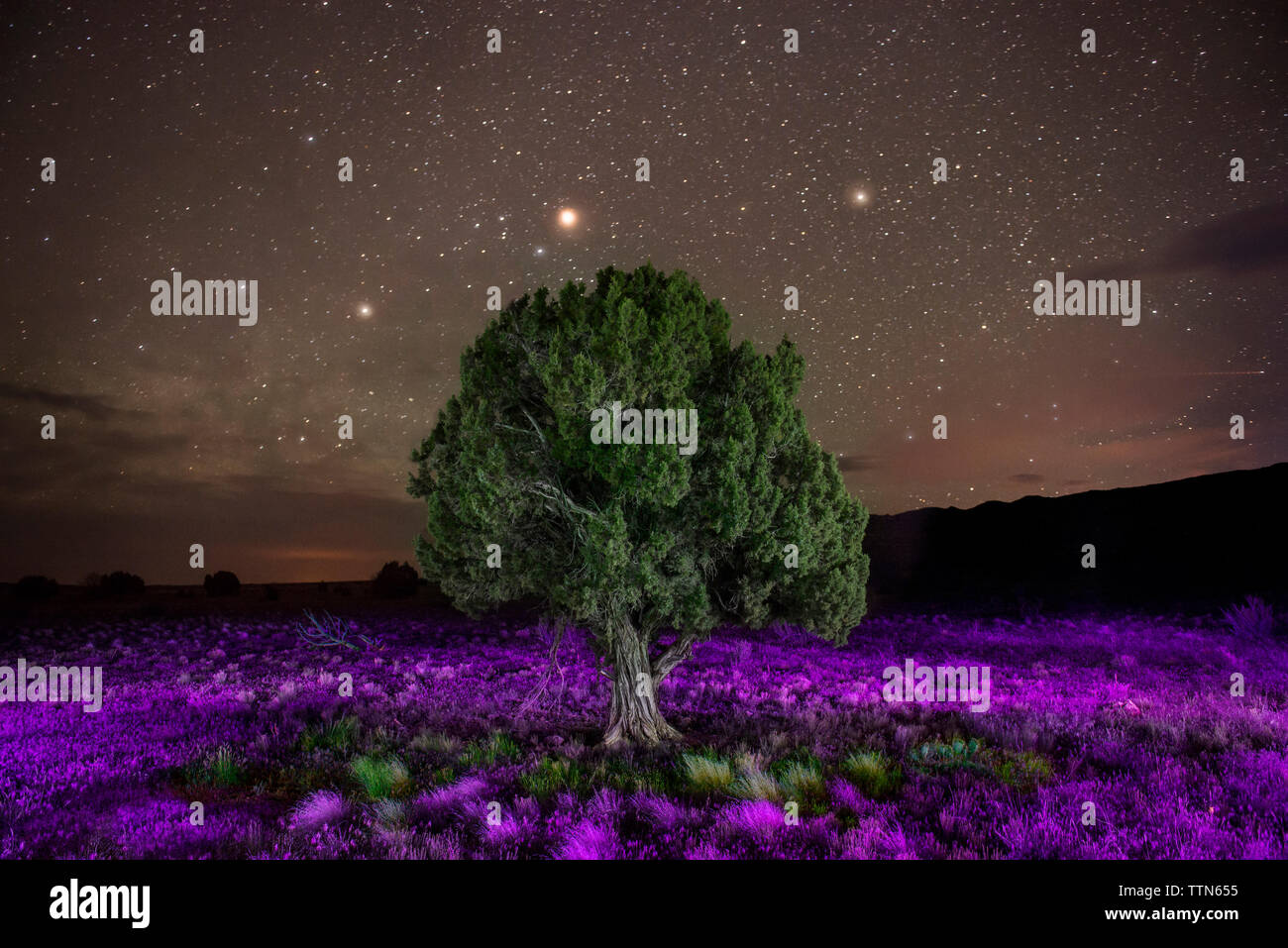 Purple landscape hi-res stock photography and images - Alamy