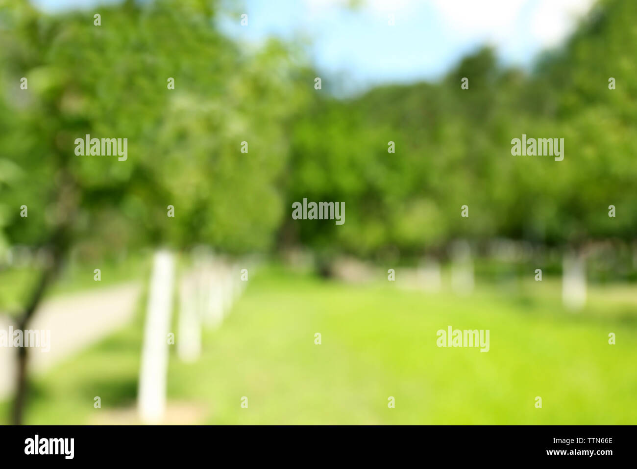Blurred footpath in park background Stock Photo - Alamy