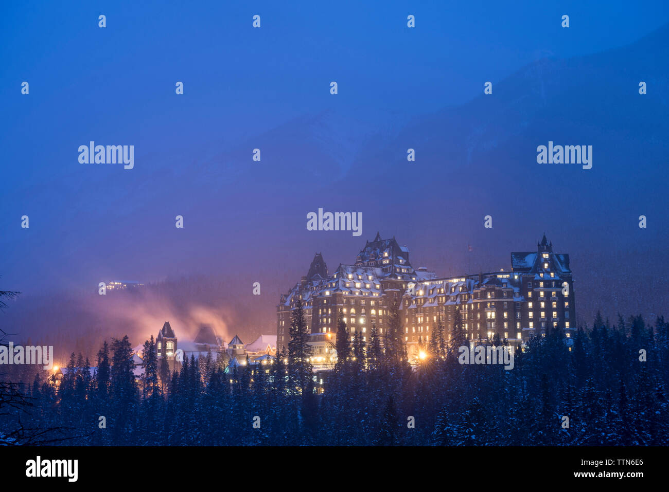 Banff trees hi-res stock photography and images - Alamy