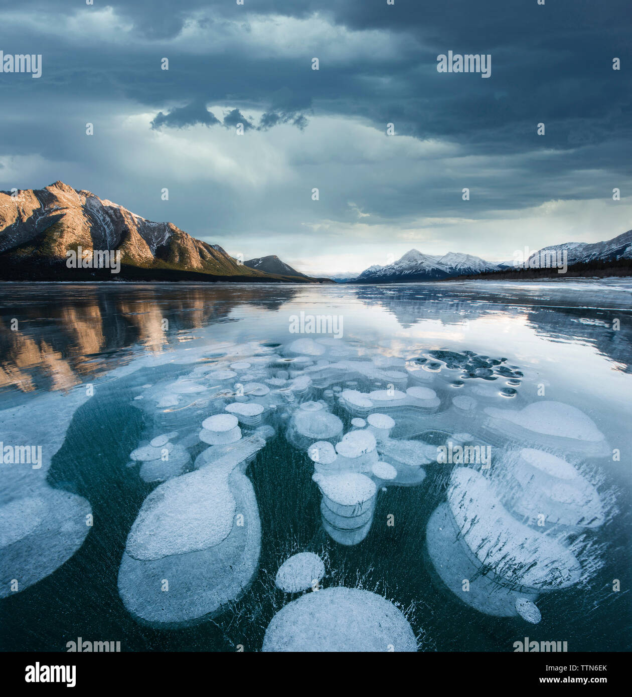 Trapped methane bubbles in lake hi-res stock photography and images - Alamy