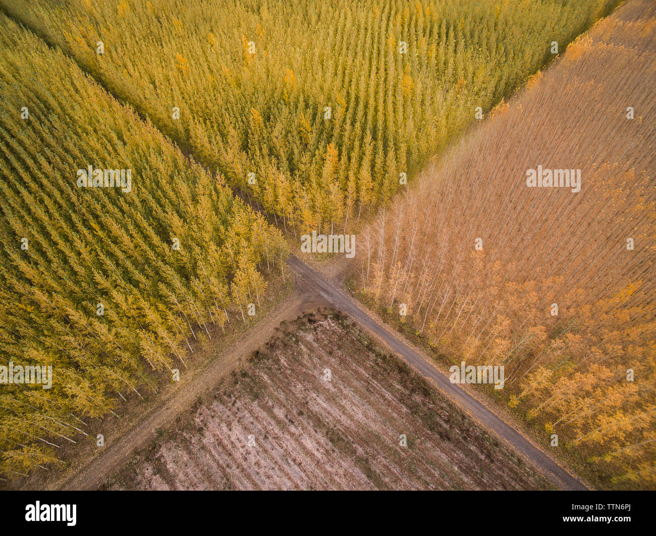 Farms outdoors trees hi-res stock photography and images - Alamy