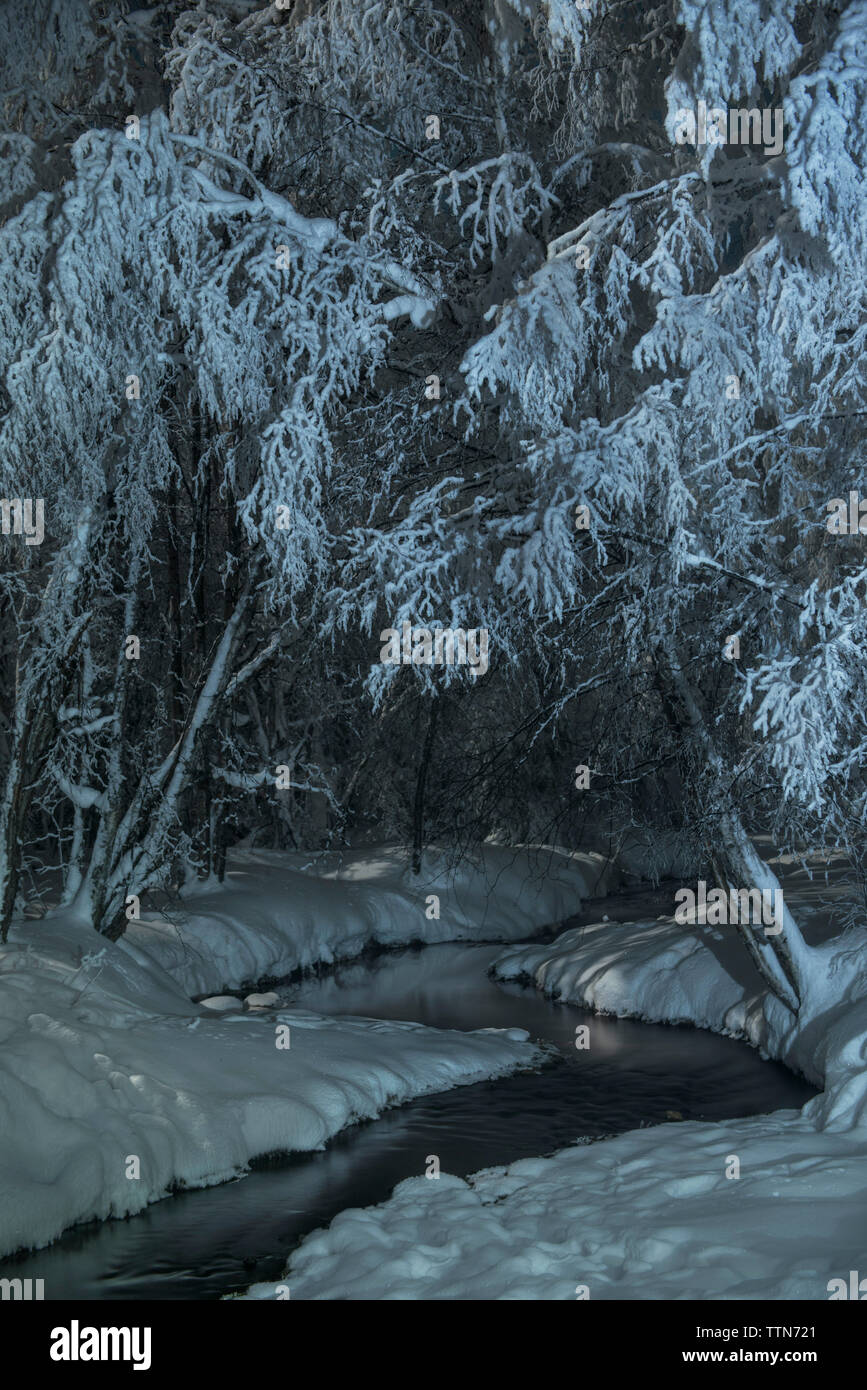 Stream and trees hi-res stock photography and images - Alamy