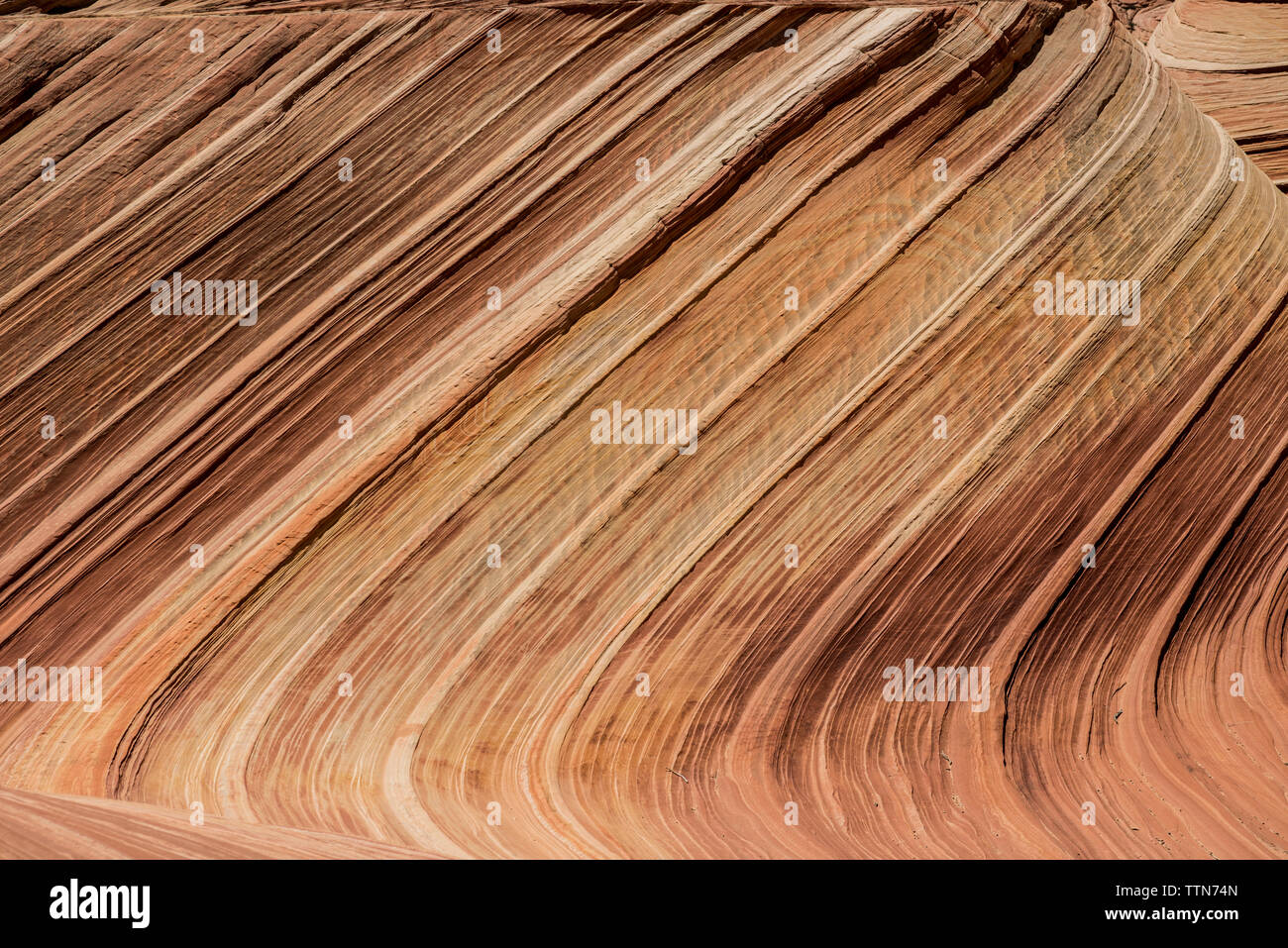 Canyon pattern close up hi-res stock photography and images - Alamy