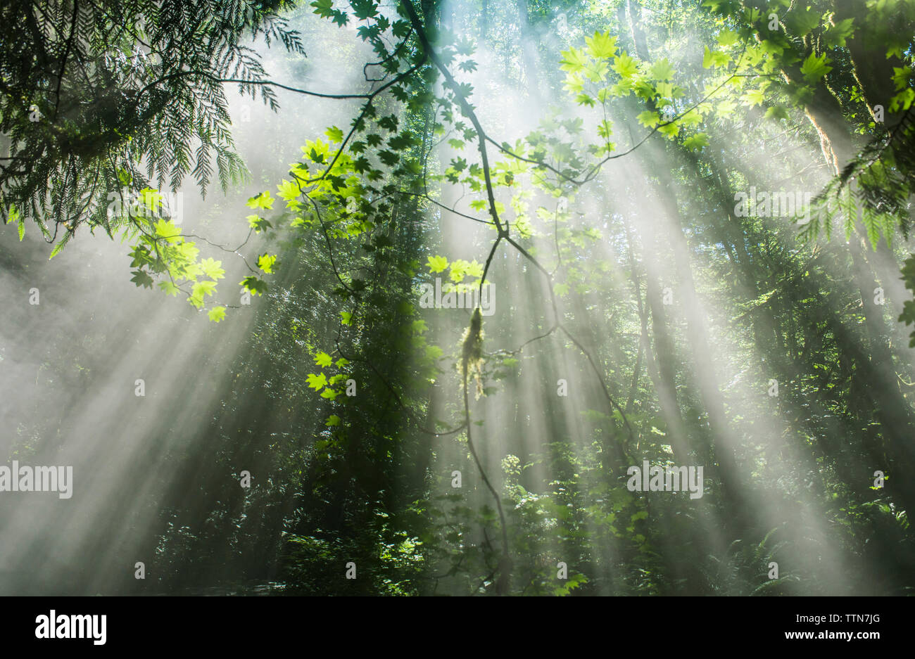 Falling low hi-res stock photography and images - Alamy