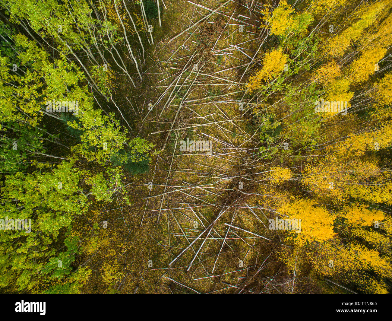 Preserve wood hi-res stock photography and images - Alamy