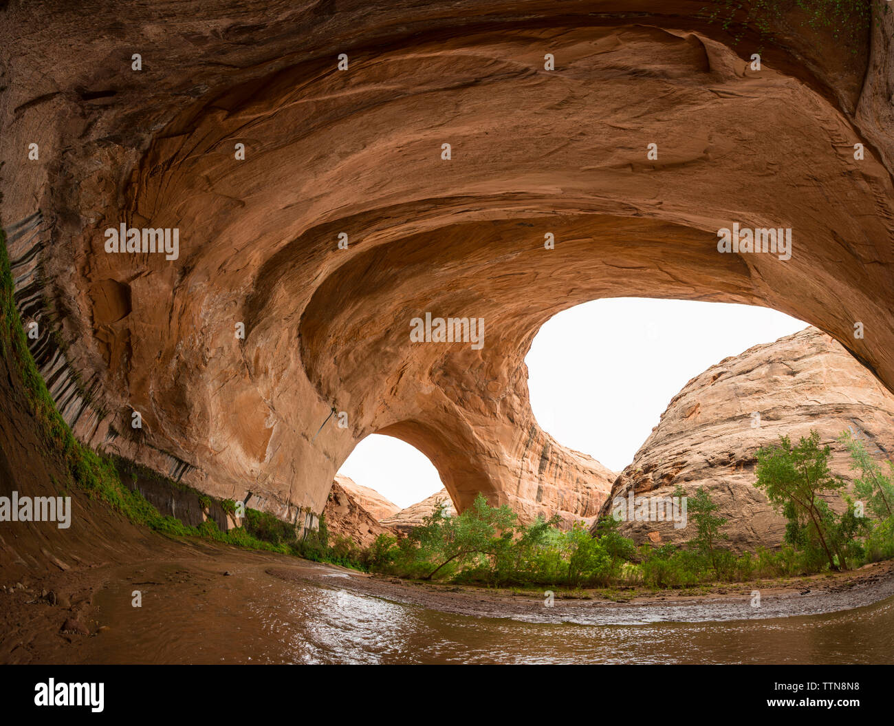 Low angle scenic view of Hamblin Arch at Grand Staircase-Escalante ...