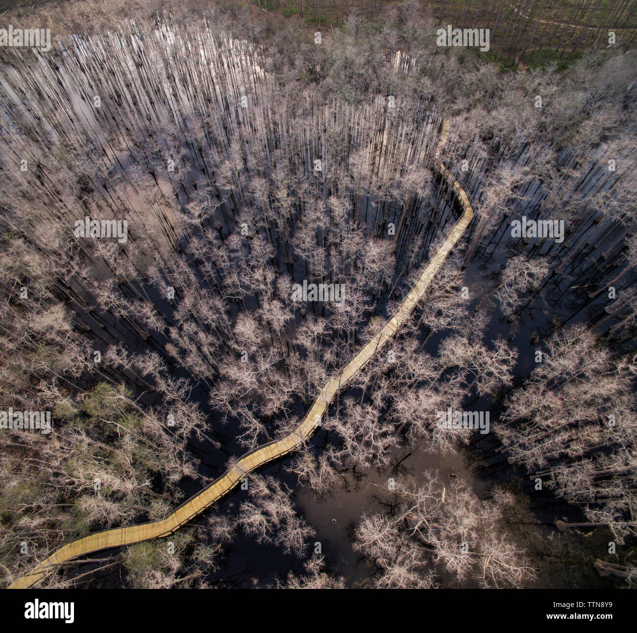Aerial view over swamp hi-res stock photography and images - Alamy