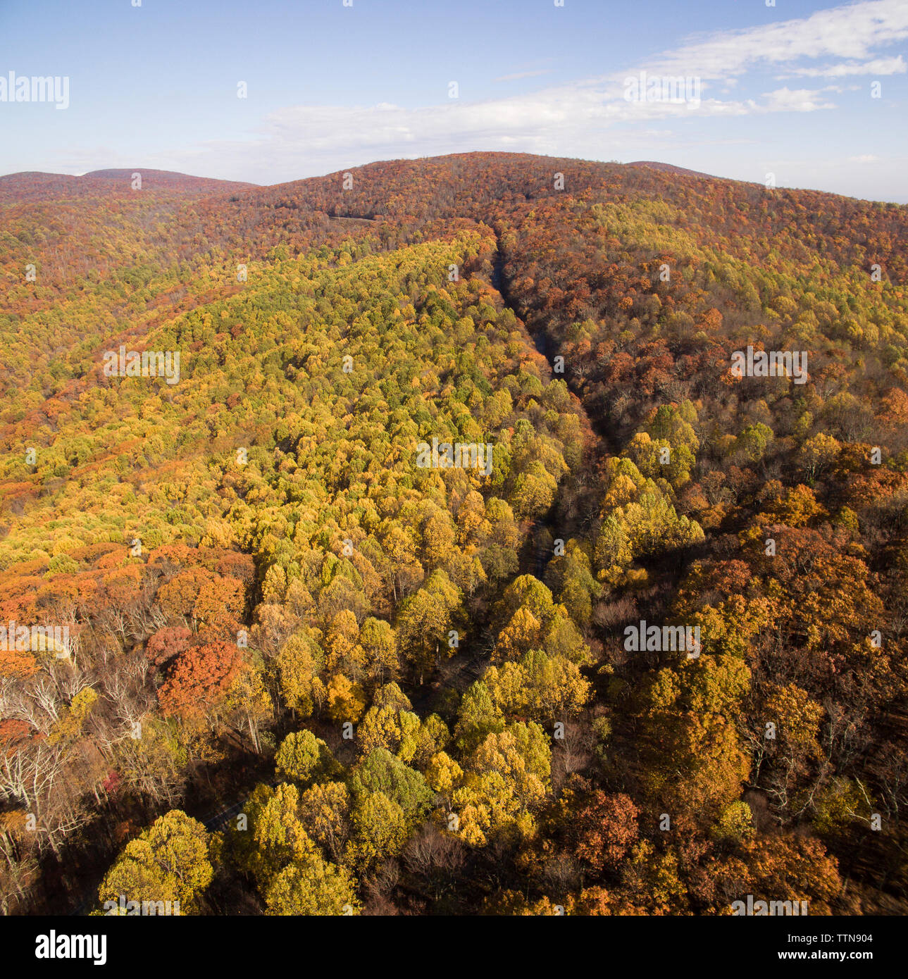 Aerial view of forest at Shenandoah National Park during autumn Stock ...