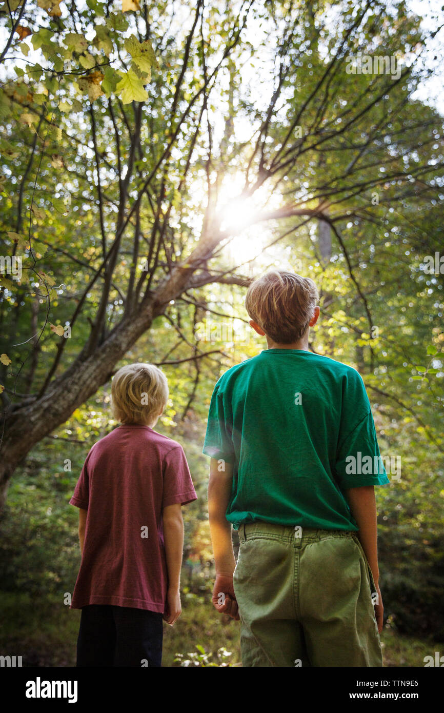 Lens flare looking in sun hi-res stock photography and images - Alamy