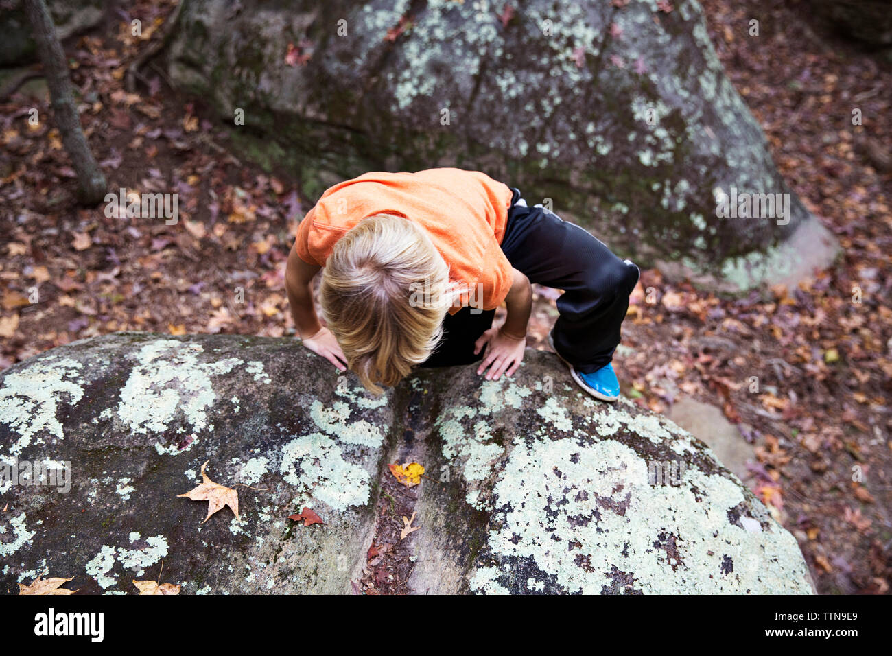 Boy climbing boulder in forest Stock Photo - Alamy