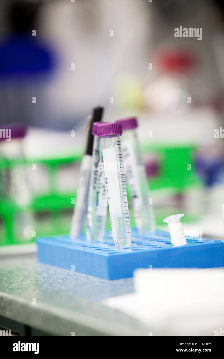Scientific samples in test tubes Stock Photo - Alamy