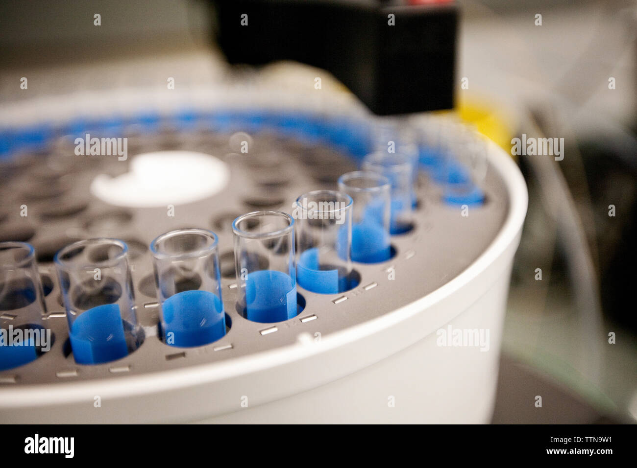 Test tube rack Stock Photo - Alamy
