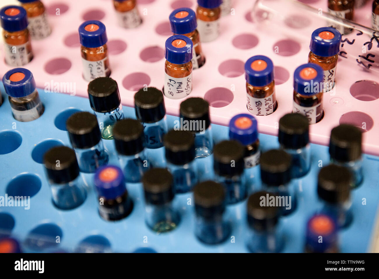 Test tube rack Stock Photo - Alamy
