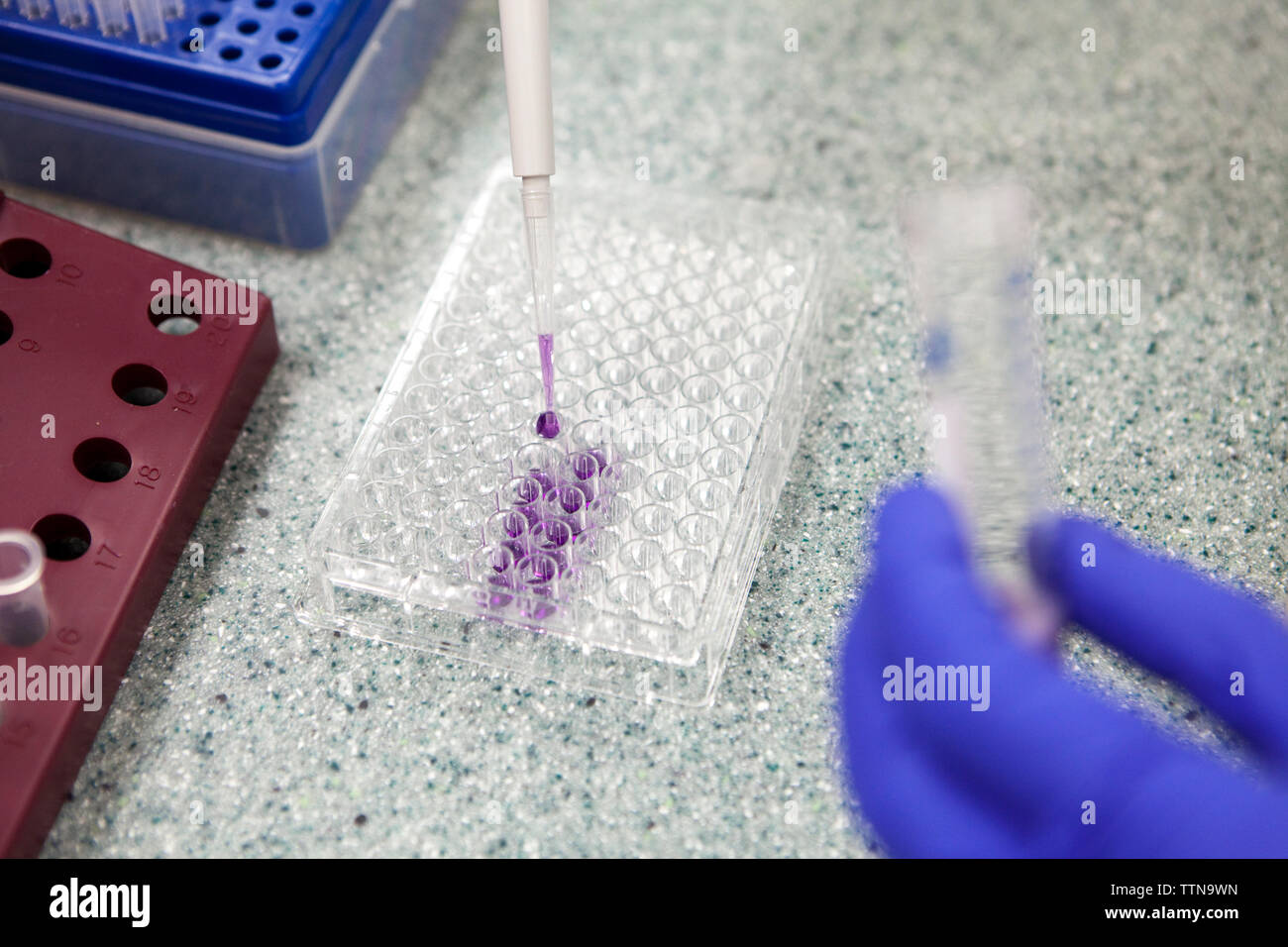 Scientist using pipette in laboratory Stock Photo - Alamy