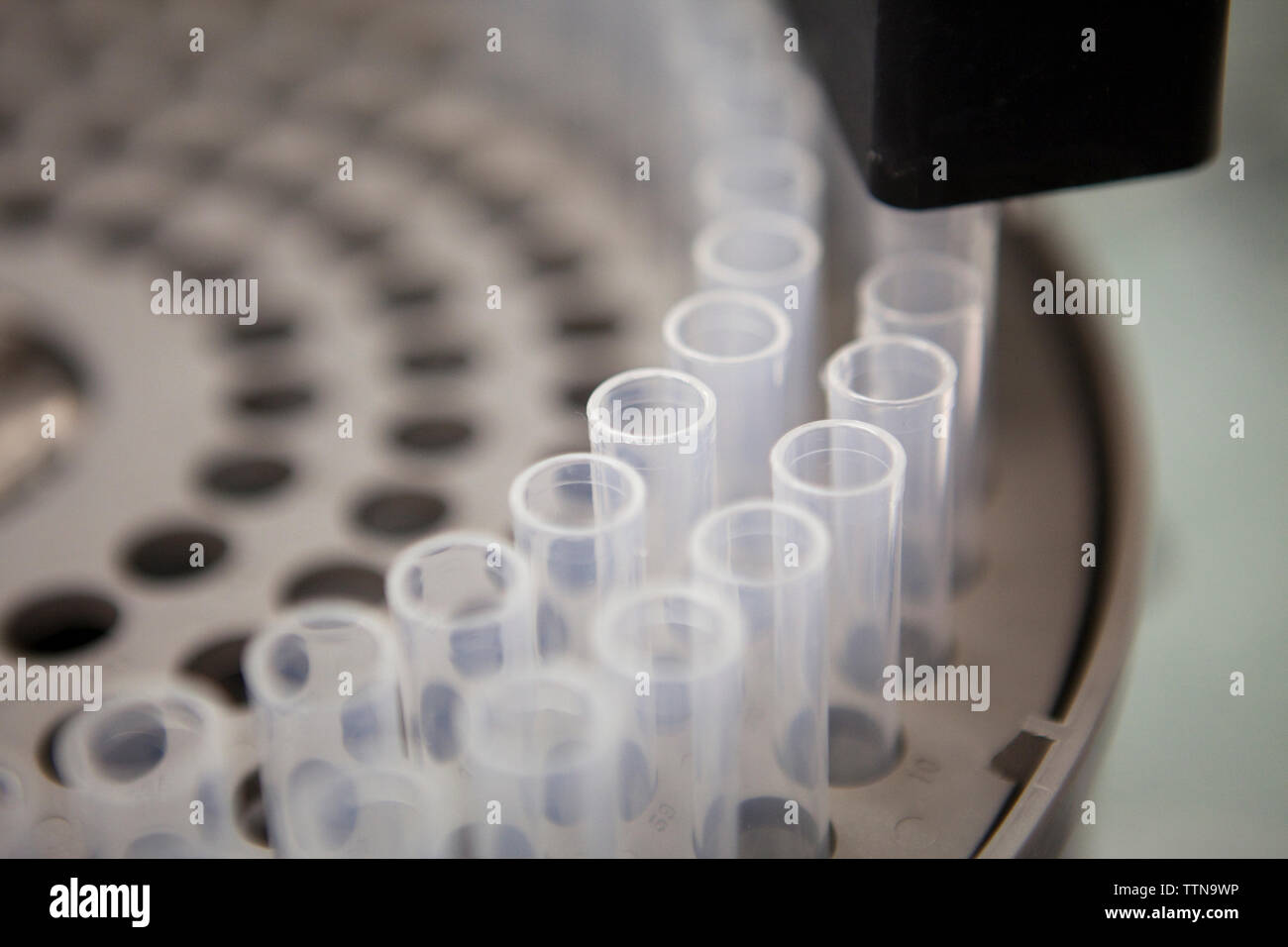 Test tube rack Stock Photo - Alamy
