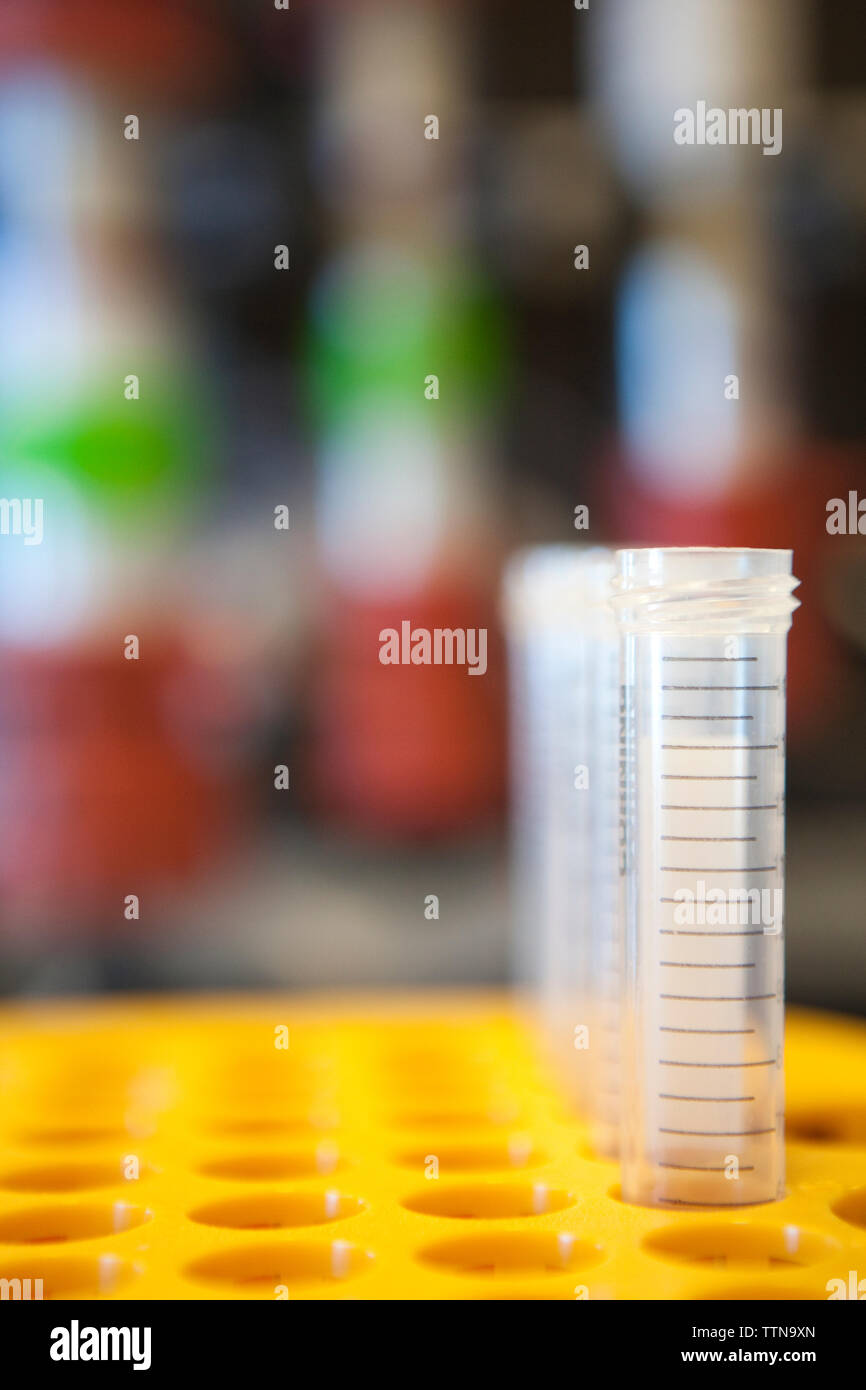 Test tube rack Stock Photo - Alamy