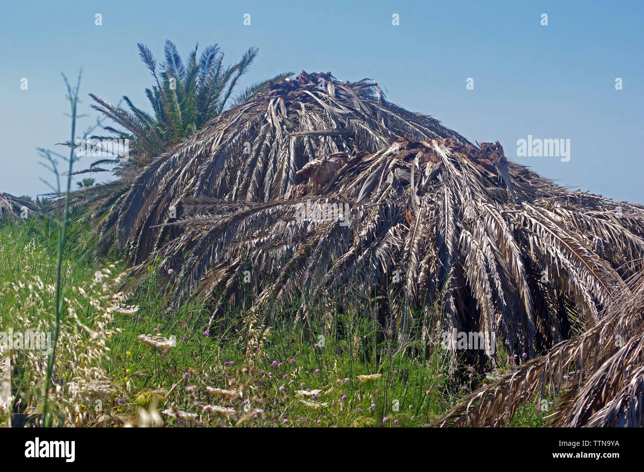 Destroyed nature hi-res stock photography and images - Alamy
