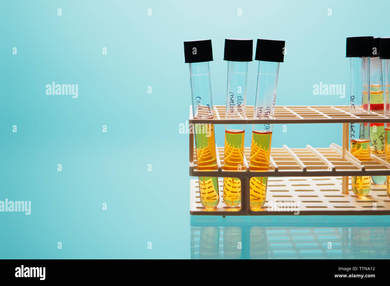 Test tubes on rack Stock Photo - Alamy