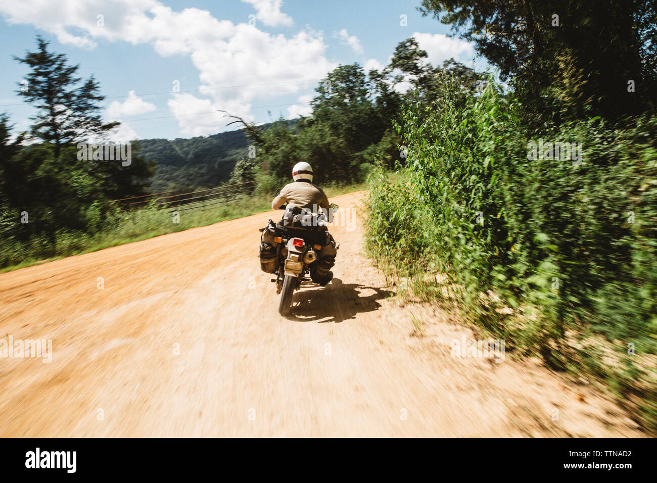 Rear view of biker riding motorcycle on dirt road amidst forest Stock ...