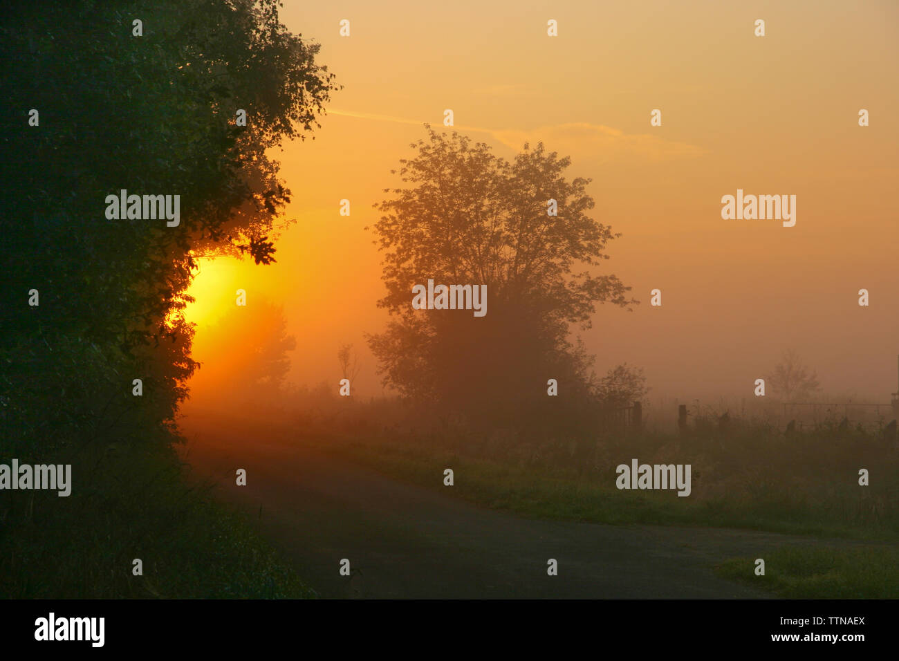 Sun shining through deep mist at autumn Stock Photo - Alamy