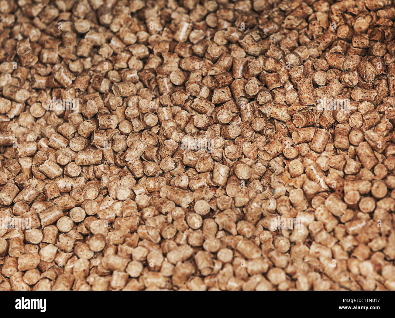 Compound feed hi-res stock photography and images - Alamy