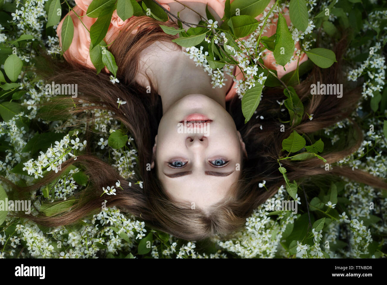 Overhead portrait of woman relaxing on plants at yard Stock Photo - Alamy