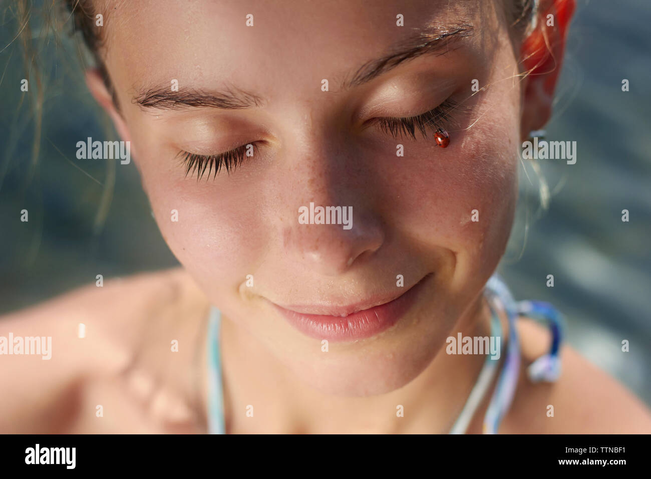 Bug face hi-res stock photography and images - Alamy