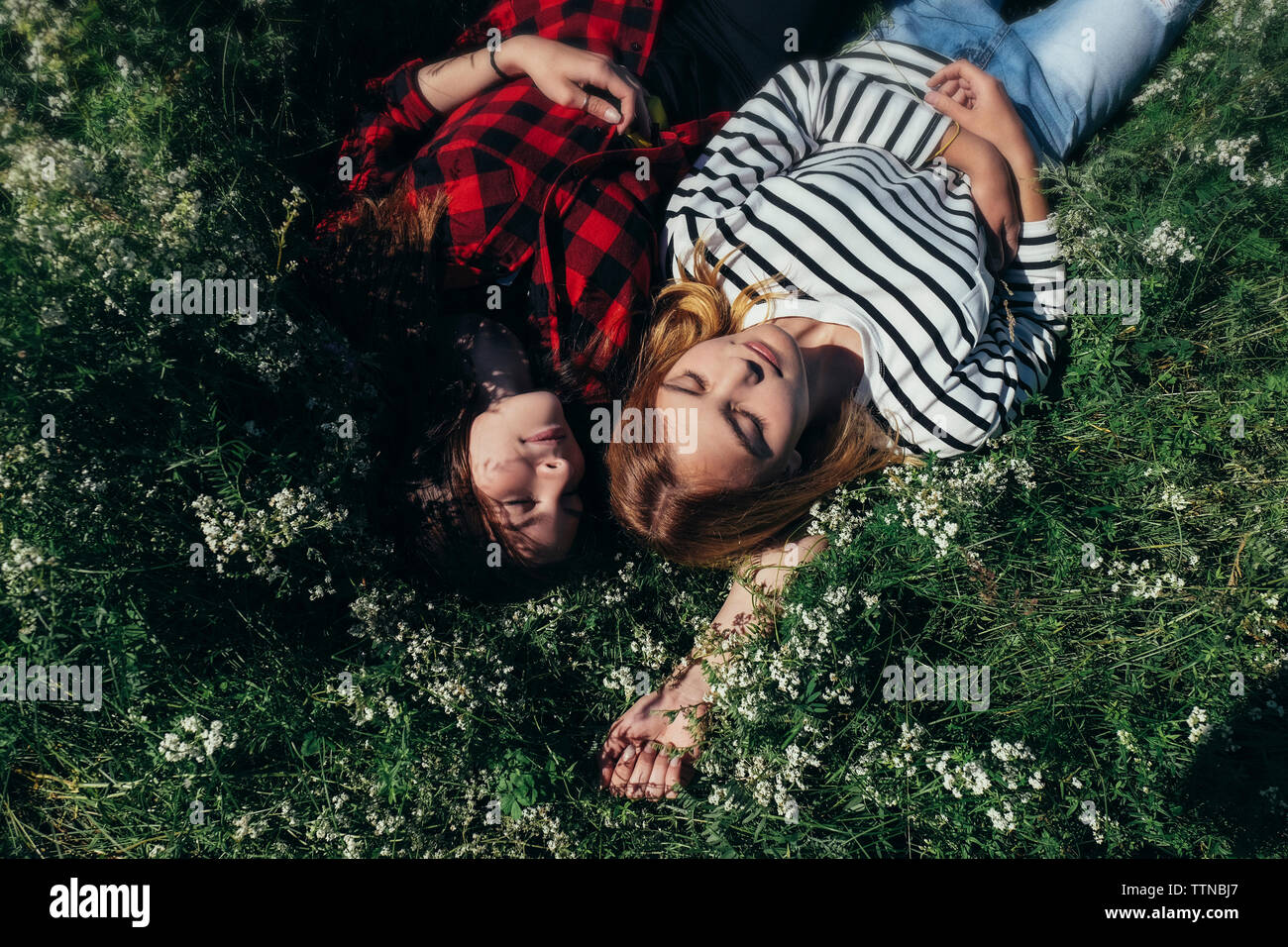 Napping grass hi-res stock photography and images - Alamy