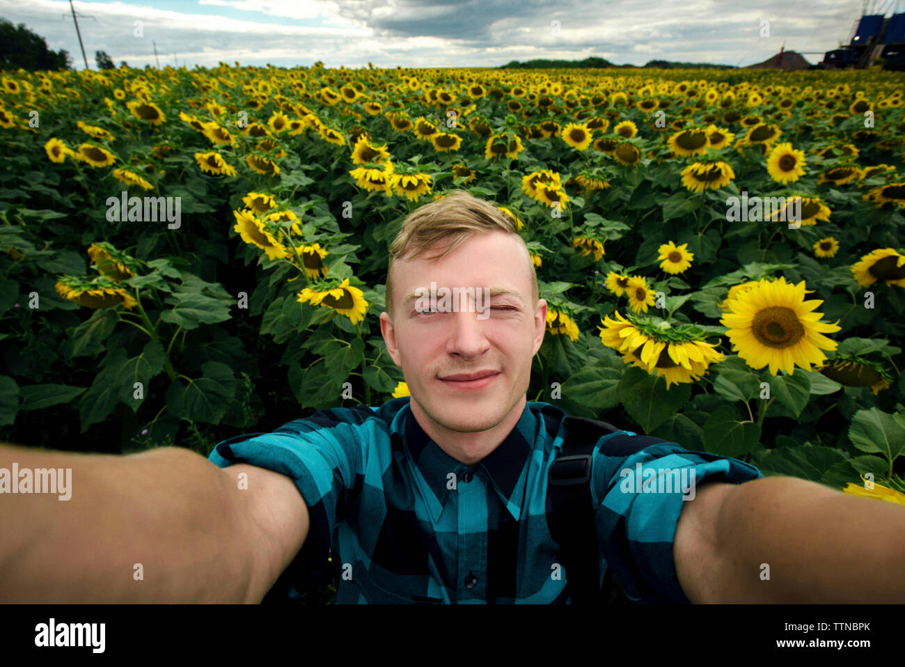 High angle portrait of man winking eye while standing amidst sunflowers ...