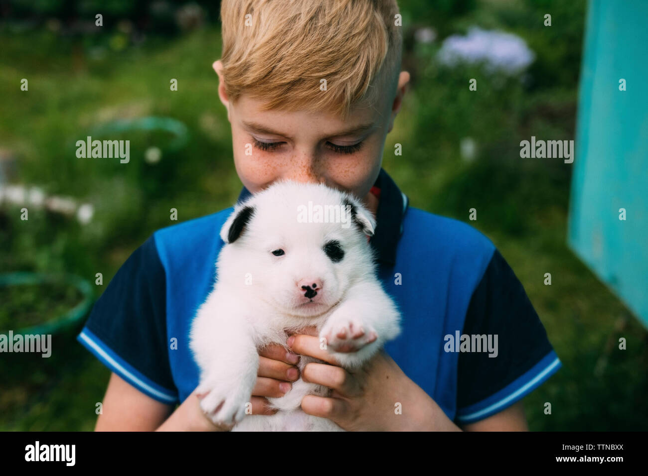Boy puppy hi-res stock photography and images - Alamy