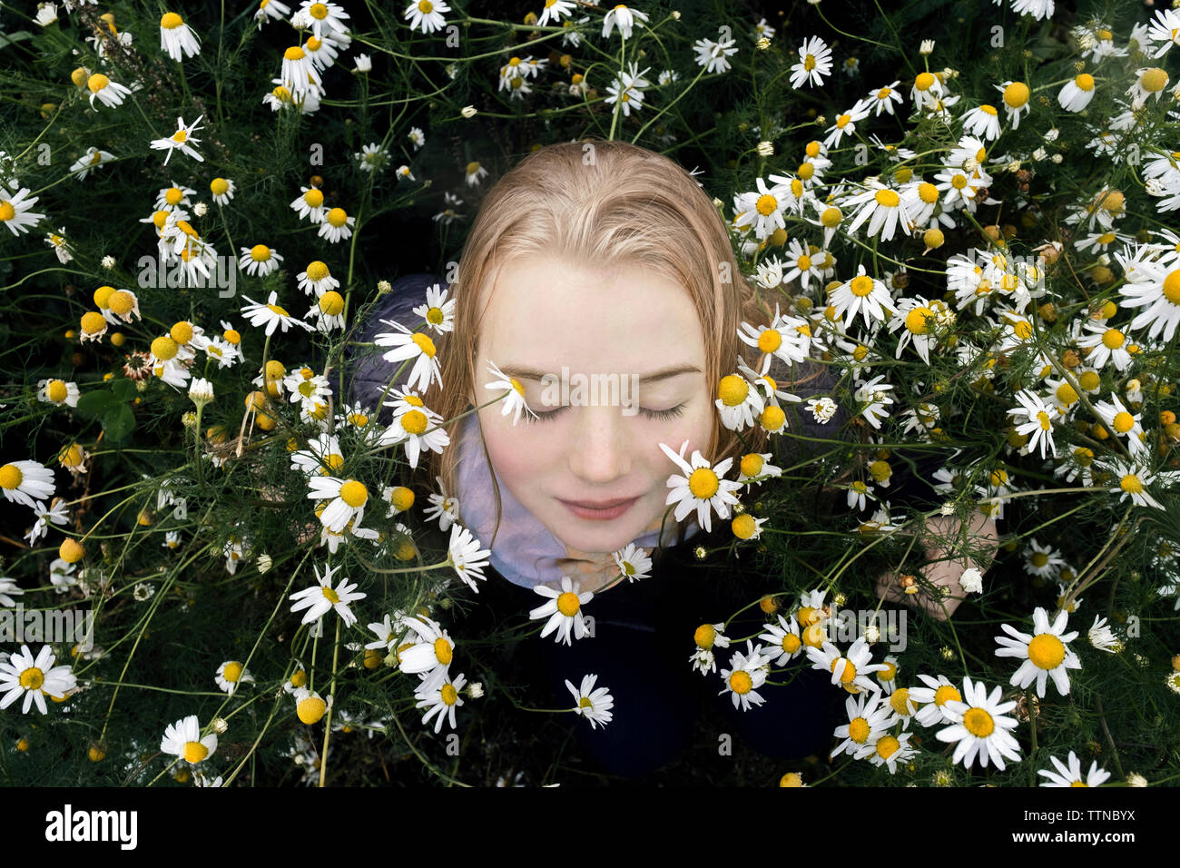 Female sitting in daisies hi-res stock photography and images - Alamy