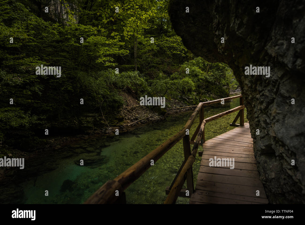 Vintgar Gorge, National Park Triglav, Gorenjska, Slovenia Stock Photo ...