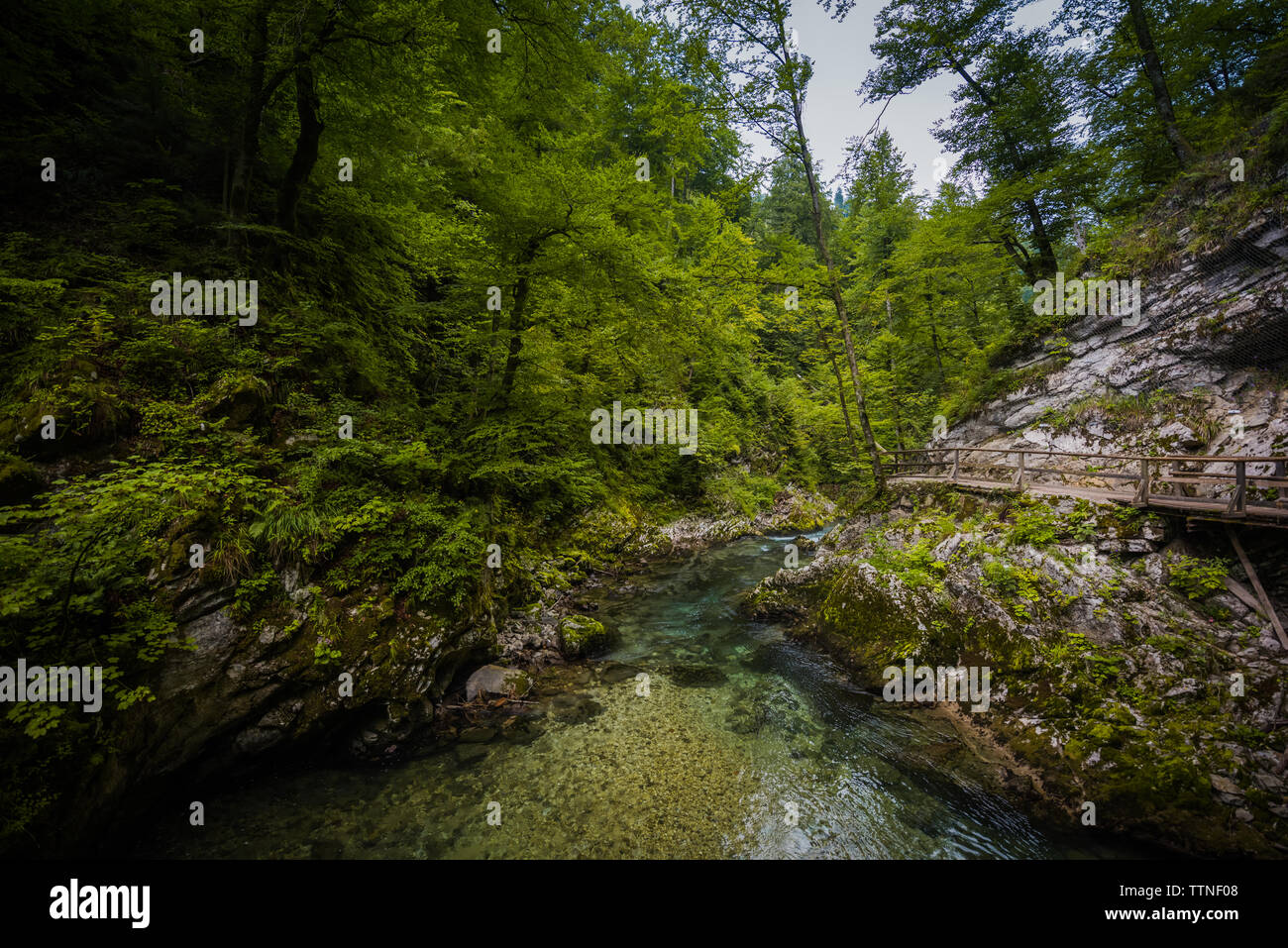 Vintgar Gorge, National Park Triglav, Gorenjska, Slovenia Stock Photo ...