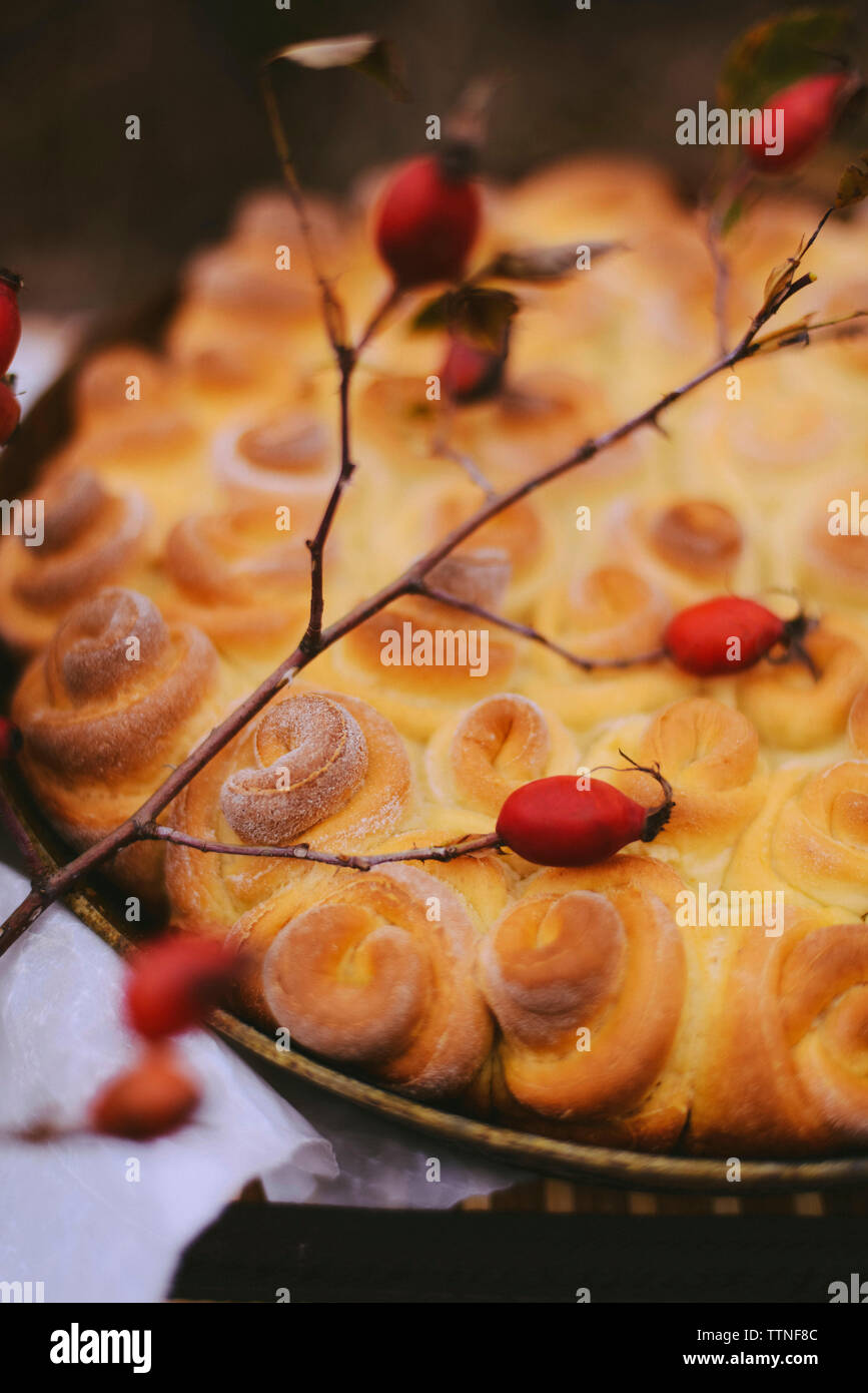 Close-up of rose hips on sweet food in plate Stock Photo - Alamy